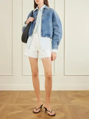 AGOLDE Dixon Denim Jacket
