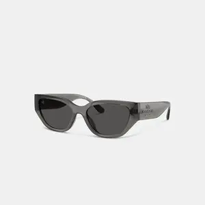 COACH OUTLET Geometric Cat Eye Sunglasses - Transparent Gray