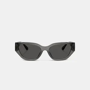 COACH OUTLET Geometric Cat Eye Sunglasses - Transparent Gray