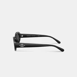 COACH OUTLET Coach Oval Sunglasses