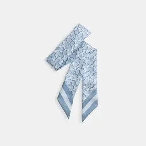 COACH OUTLET Coach Signature Silk Skinny Scarf - Niagara Mist