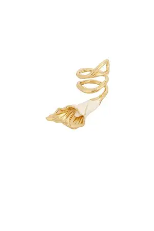 Logo Rings