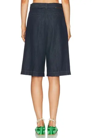 Dries Van Noten Peaches Shorts In Blue