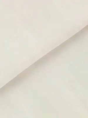 Peserico Monili-trim Scarf
