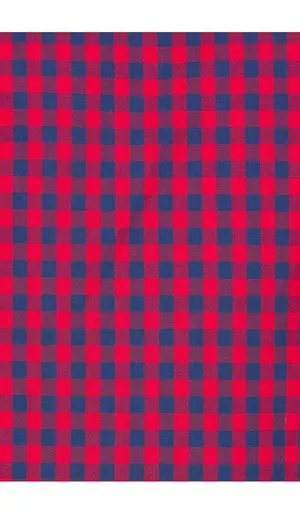Simkhai Sloan Mini Dress With Gingham Checks