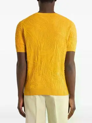 Etro Paisley-knit T-shirt