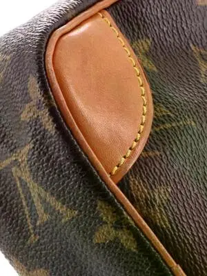 LOUIS VUITTON Danube Monogram Canvas Crossbody Bag