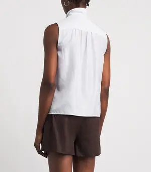 FRAME Silk Stripe The Novelist Shirt