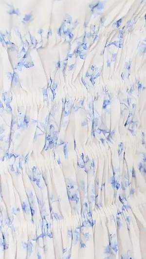 Caroline Constas Ivette Floral Print Strapless Maxi Dress