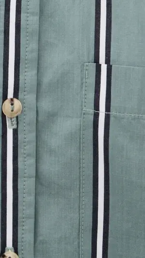 Donni. Pop Stripe Shirt - Sage