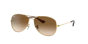 Ray-ban Ray-Ban Aviator Sunglasses Light Brown Gradient