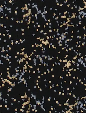 PASSION LILIE Splatter Dot Scarf