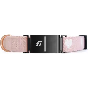 DOGISTRY 3+ Collar Band - Medium