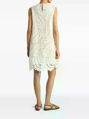 Etro Cotton Floral-lace Embroidery Mini Dress