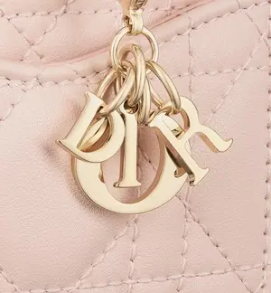 Dior Cosmos Zipper Card Bag
