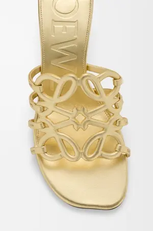 Loewe Petal Anagram Slides - Nude