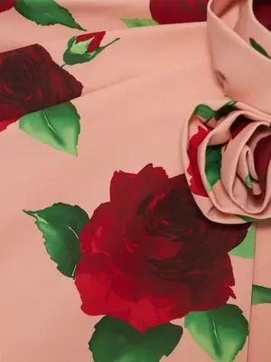 Magda Butrym Floral Printed Mini Skirt