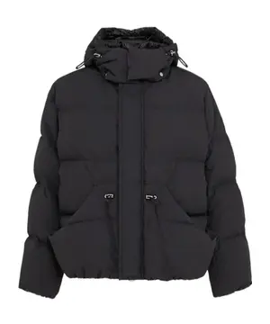 Sacai Down Jacket With Detachable Hood