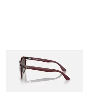 Ray-ban Full Frame Round Sunglasses