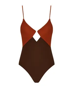 Zimmermann Aster Cut-out One-piece Swimsuit - Brown