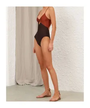 Zimmermann Aster Cut-out One-piece Swimsuit