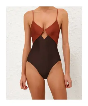 Zimmermann Aster Cut-out One-piece Swimsuit