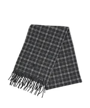 Polo Ralph Lauren Plaid Scarf