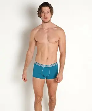 Emporio Armani Elastic Waist Underwear - Blue
