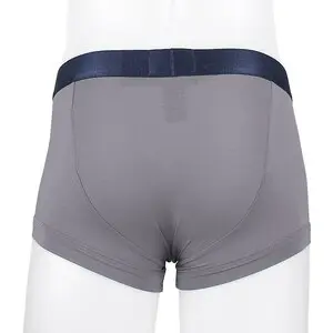 Emporio Armani Logo Underwear - Gray