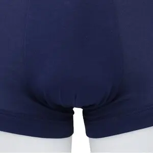 Emporio Armani Logo Underwear - Blue