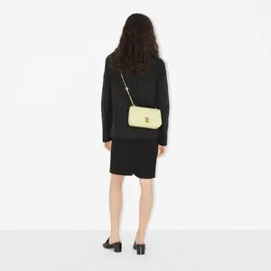 Burberry Quilted Leather Lola Bag With Tb Logo - Nude