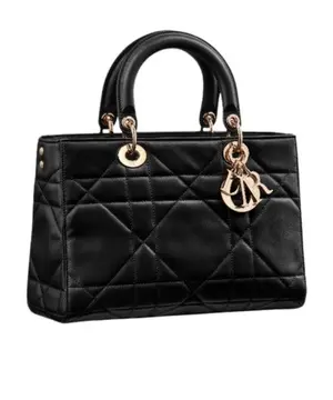 Dior Top Handle Mini Bags