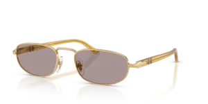 Persol Persol Full Rim Oval Sunglasses Miele