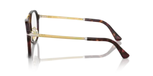 Persol Acetate Sunglasses - Gold