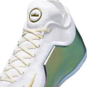 Nike Lebron Xxiii Elite "for The Record" Basketball Shoes - White