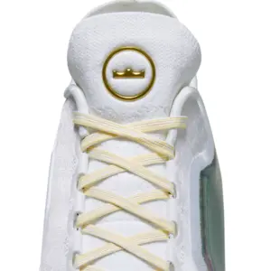 Nike Lebron Xxiii Elite "for The Record" Basketball Shoes - White