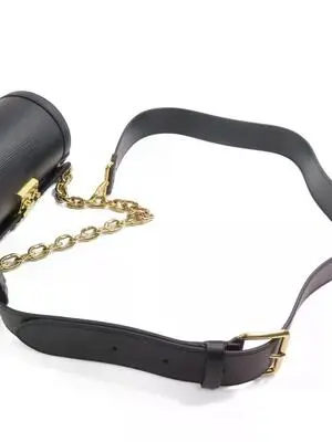 LOUIS VUITTON Papillon Trunk Two-way Calfskin Shoulder Bag