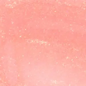 CHANTECAILLE Brilliant Gloss - Pink