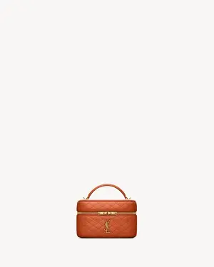 Saint Laurent Gaby Vanity Handbag - Brown