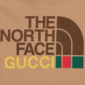Gucci The North Face X Logo Hoodie