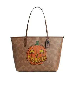 COACH Printed Shoulder Bag