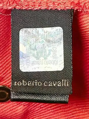Roberto Cavalli Animal Print Trim Shorts