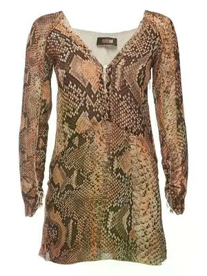 Roberto Cavalli Snake-print Mini Dress - Brown