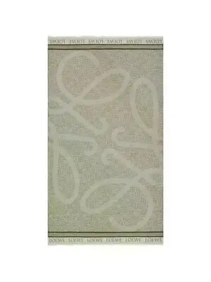 Loewe Pareo In Cotton