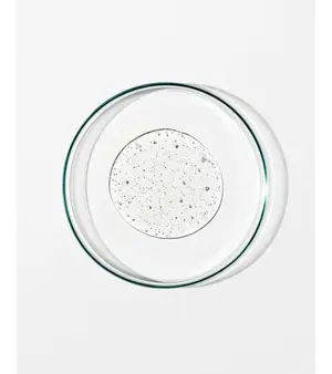 GROWN ALCHEMIST Revive Body Cleanser Refill Pouch 1l