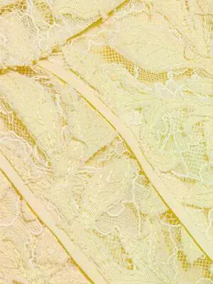 Simkhai Strapless Lace Overlay Dress