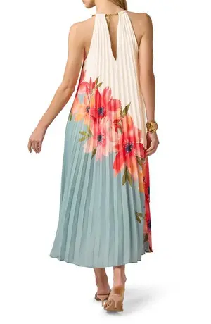 Adrianna Papell Sleeveless Floral Print Pleated Chiffon Maxi Dress
