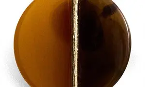 Mango Round Resin Drop Earrings With Goldtone Plate