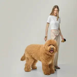DOGISTRY Metro Hands-free Leash