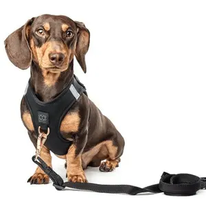 DOGISTRY City Leash Adjustable Walking System